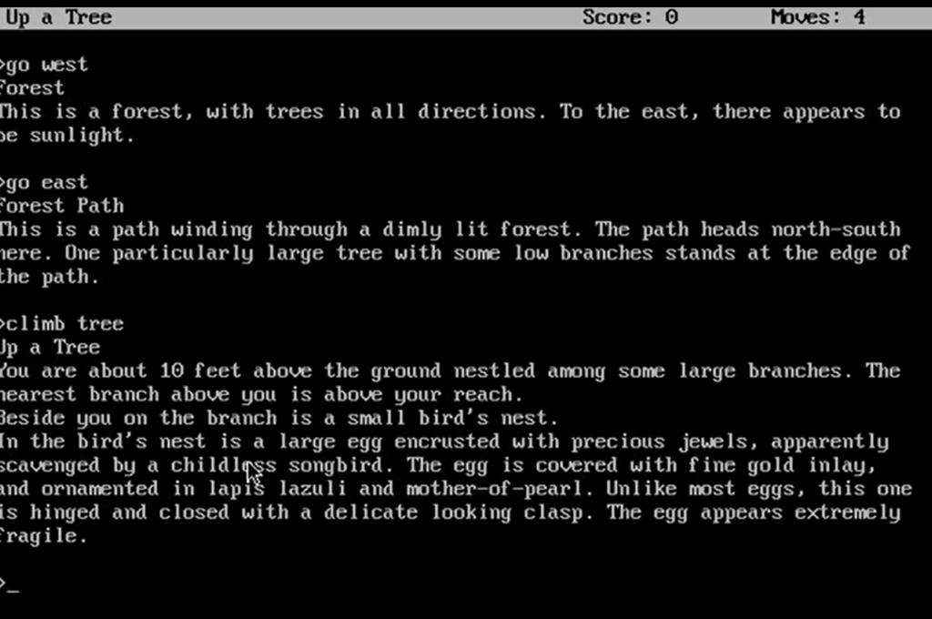 Zork 1 Game: The Great Underground Empire (DOS 1984) - DJ Retro Games